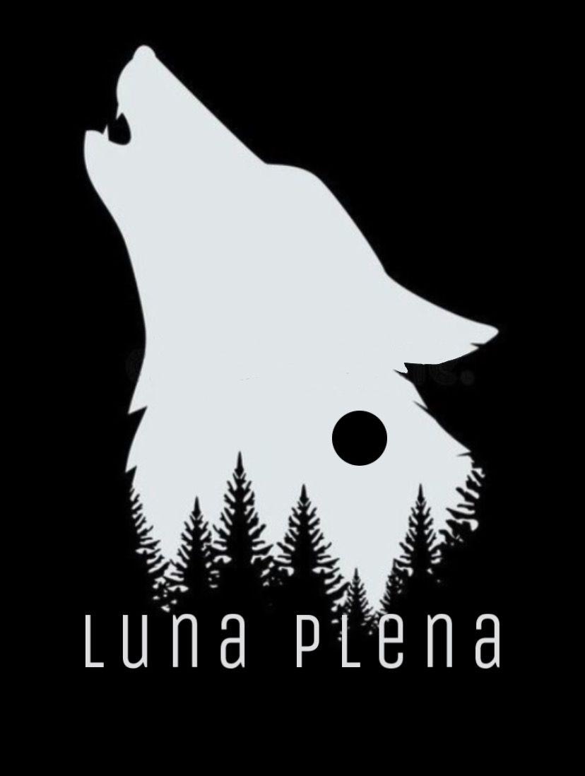 Wolfsstufe – Pfadi Schekka